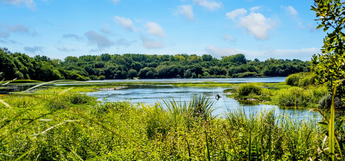 Lac de Léon #8239;: baignade et activités nautiques