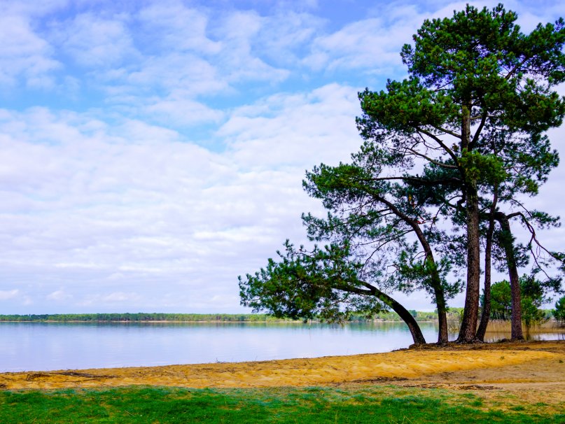 Les plus beaux lacs des Landes : Biscarrosse, Sanguinet, Parentis